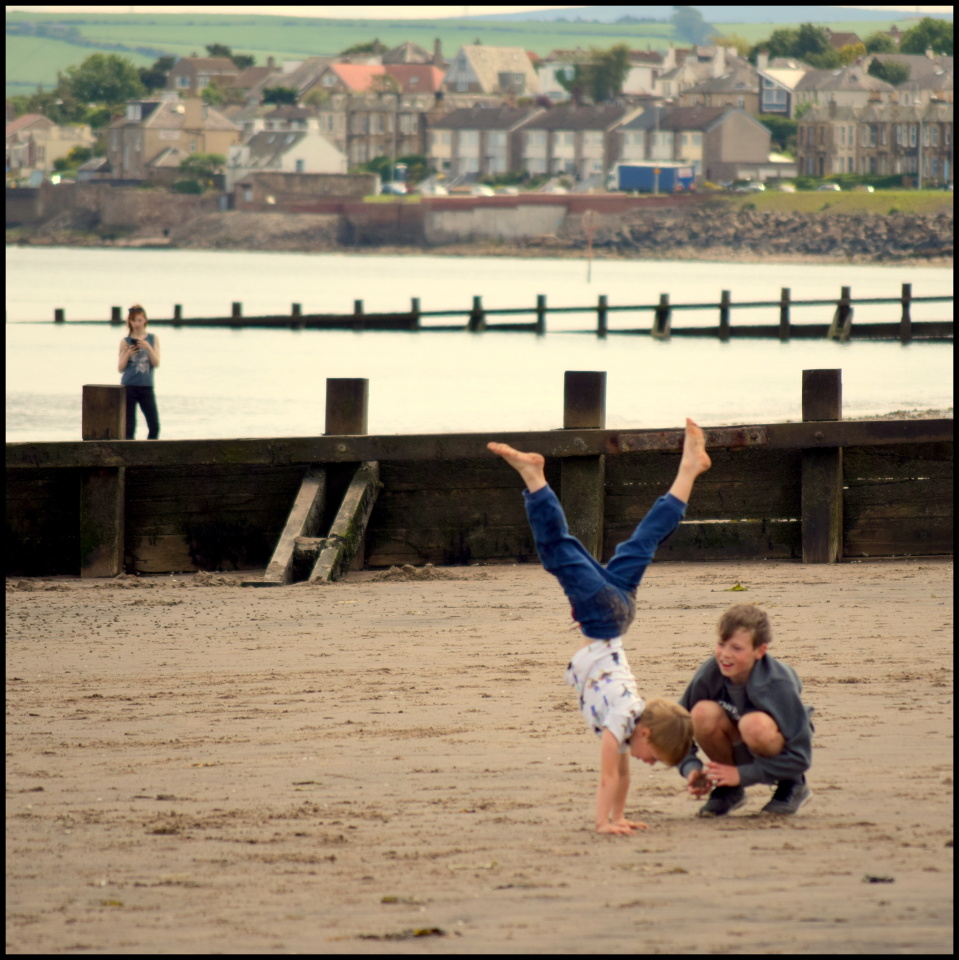 A roaster. | ForthPorts | Blipfoto