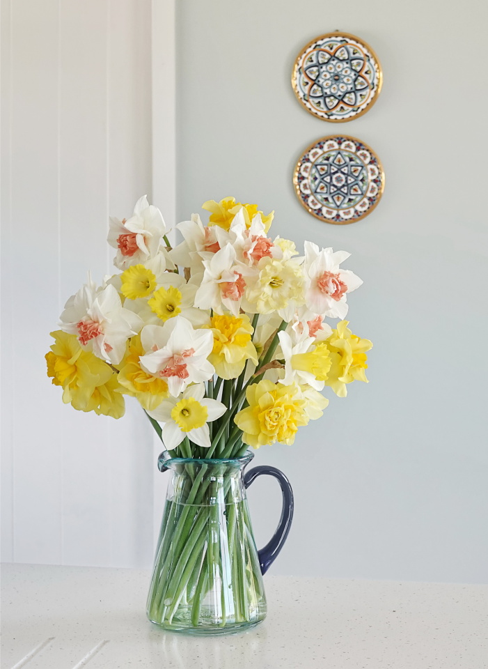 A bunch of daffs | rainie | Blipfoto