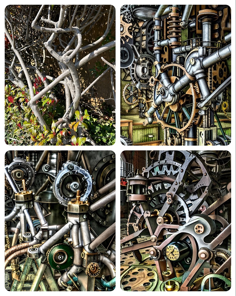 Wonder Transformation | ArtistAnnie | Blipfoto