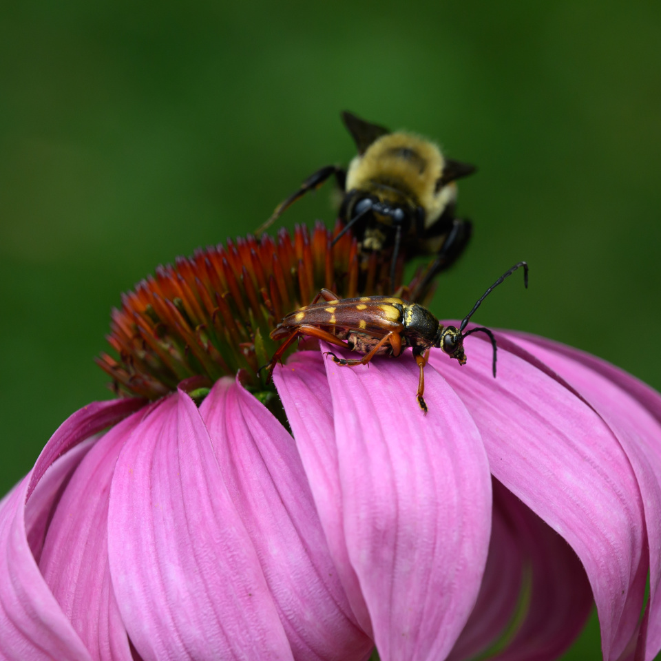 Who Goes There? | dbifulco | Blipfoto