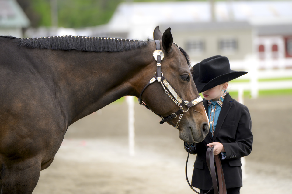 Western | dbifulco | Blipfoto