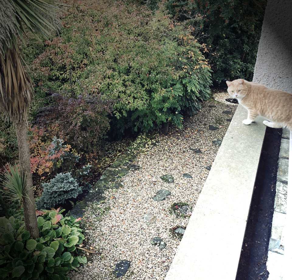 Taking the morning air | Libra | Blipfoto