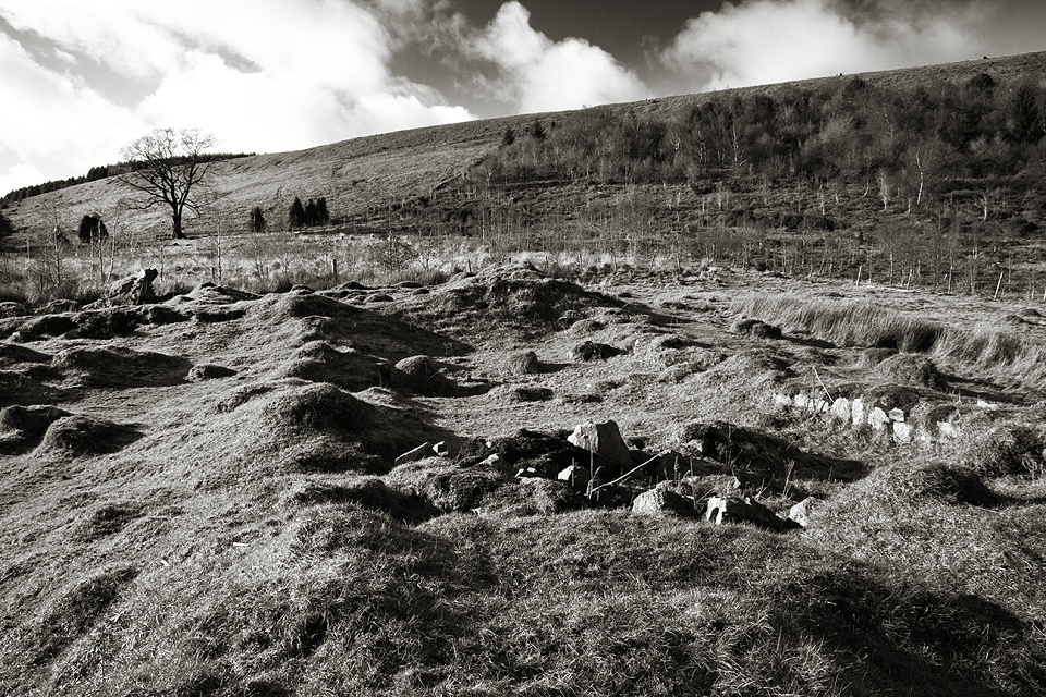 Derfel Gadarn | SilverImages | Blipfoto