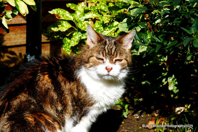 Little Miss Grumpy | ThingsBeautiful | Blipfoto