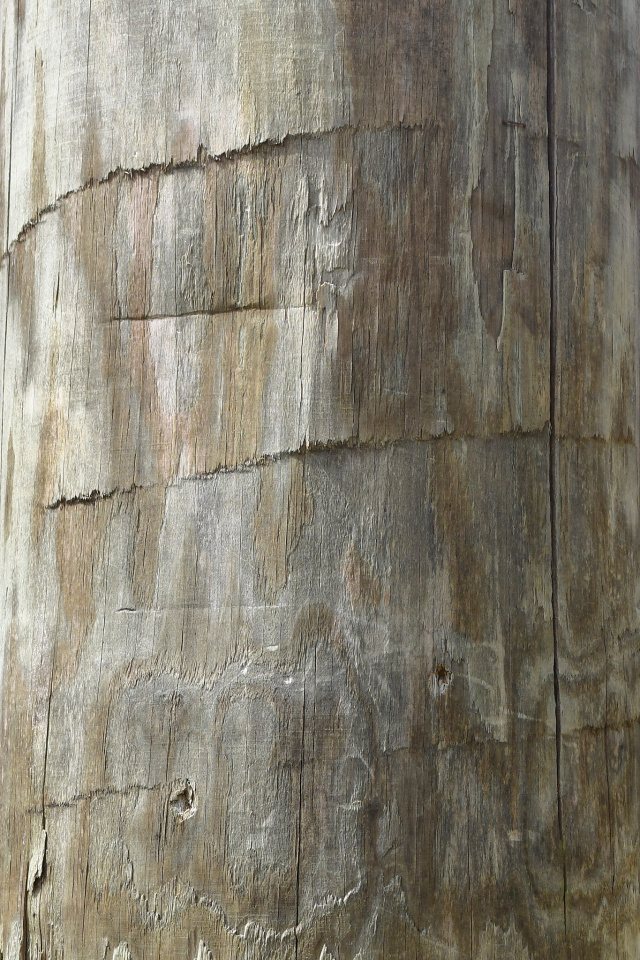 Pole Texture | RJSPIX | Blipfoto