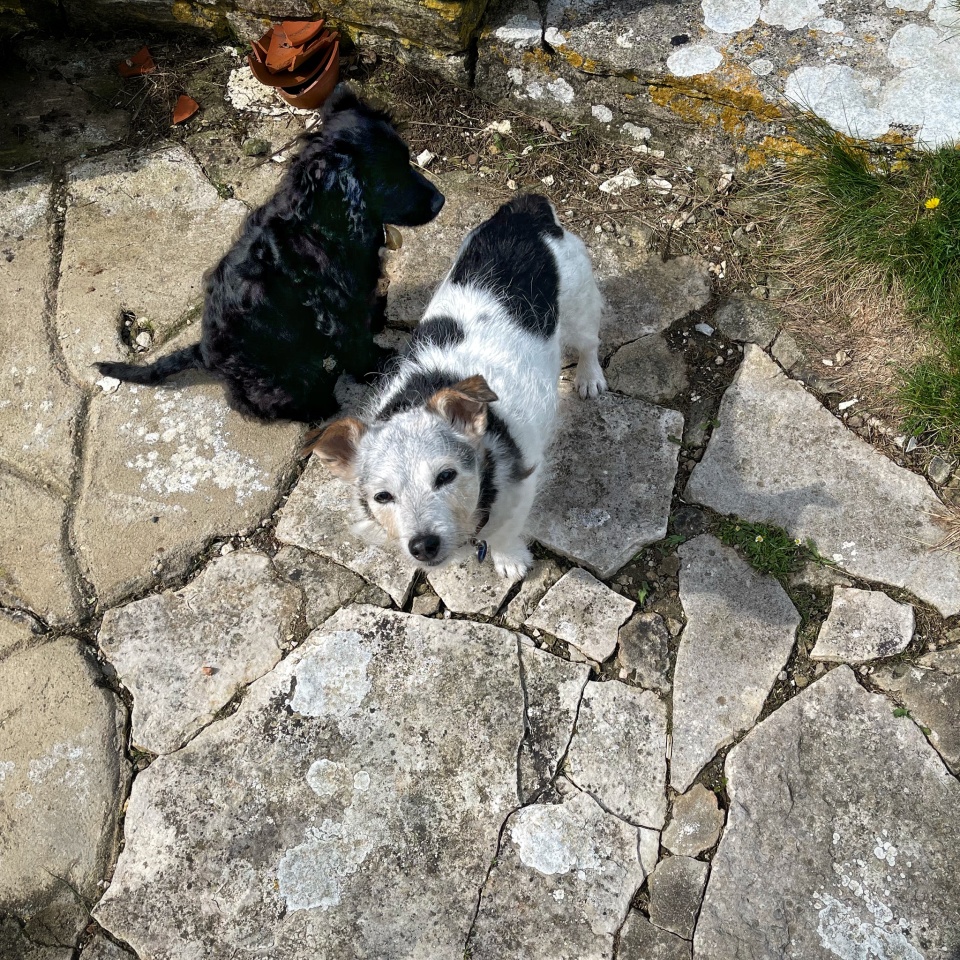 Noah meets an older lady | sk | Blipfoto