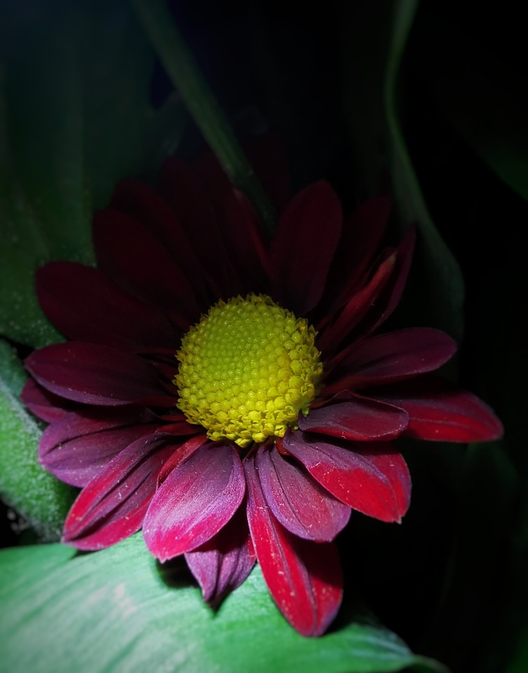 Photoless | HappyValley | Blipfoto