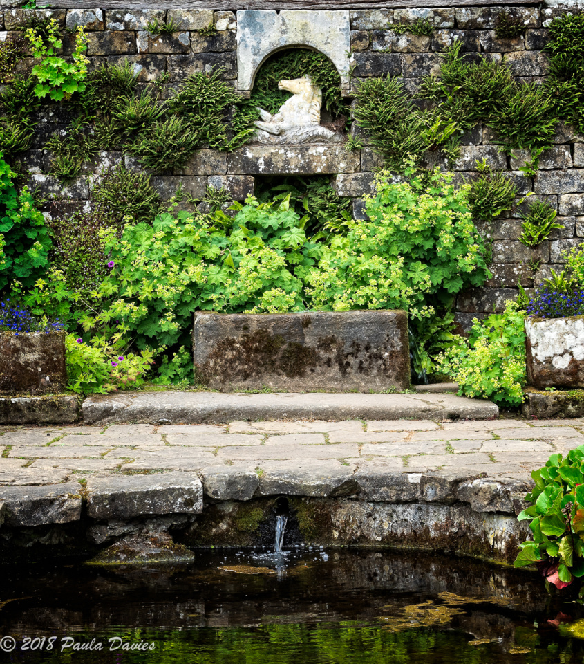Wallington Walled Garden | Pixelfoto | Blipfoto