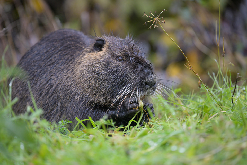 Nutritious! | dbifulco | Blipfoto