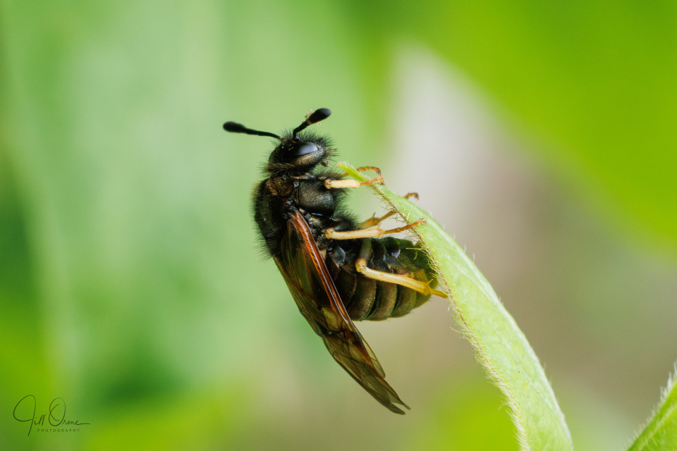 Trickyposition | JDO | Blipfoto