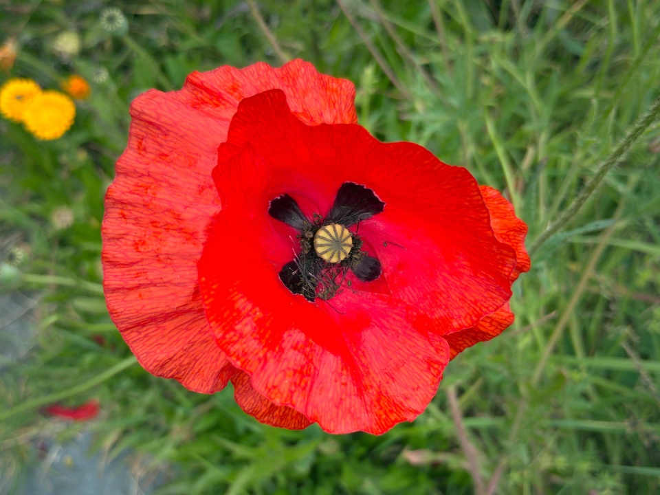 Top down | ajt | Blipfoto