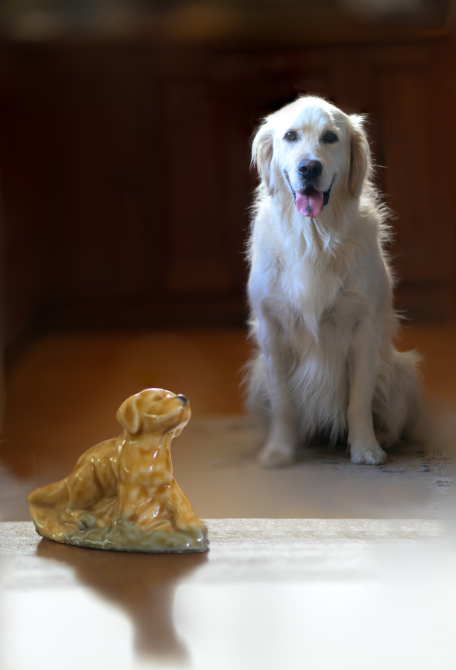 A sense (or not) of scale | jensphotos | Blipfoto