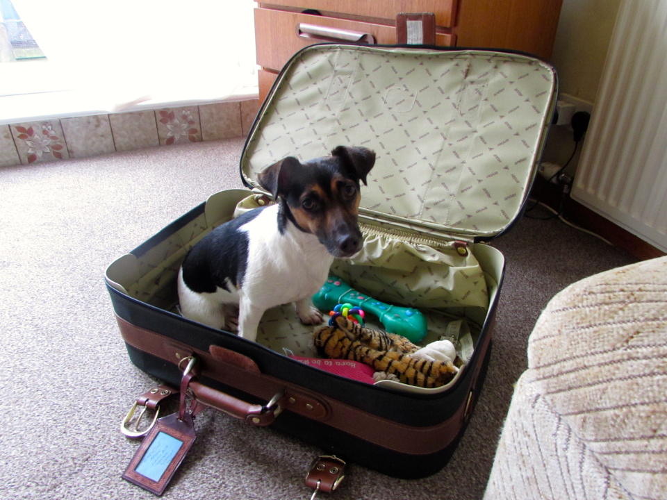 LITTLE MISS INNOCENCE. | Larchlea | Blipfoto