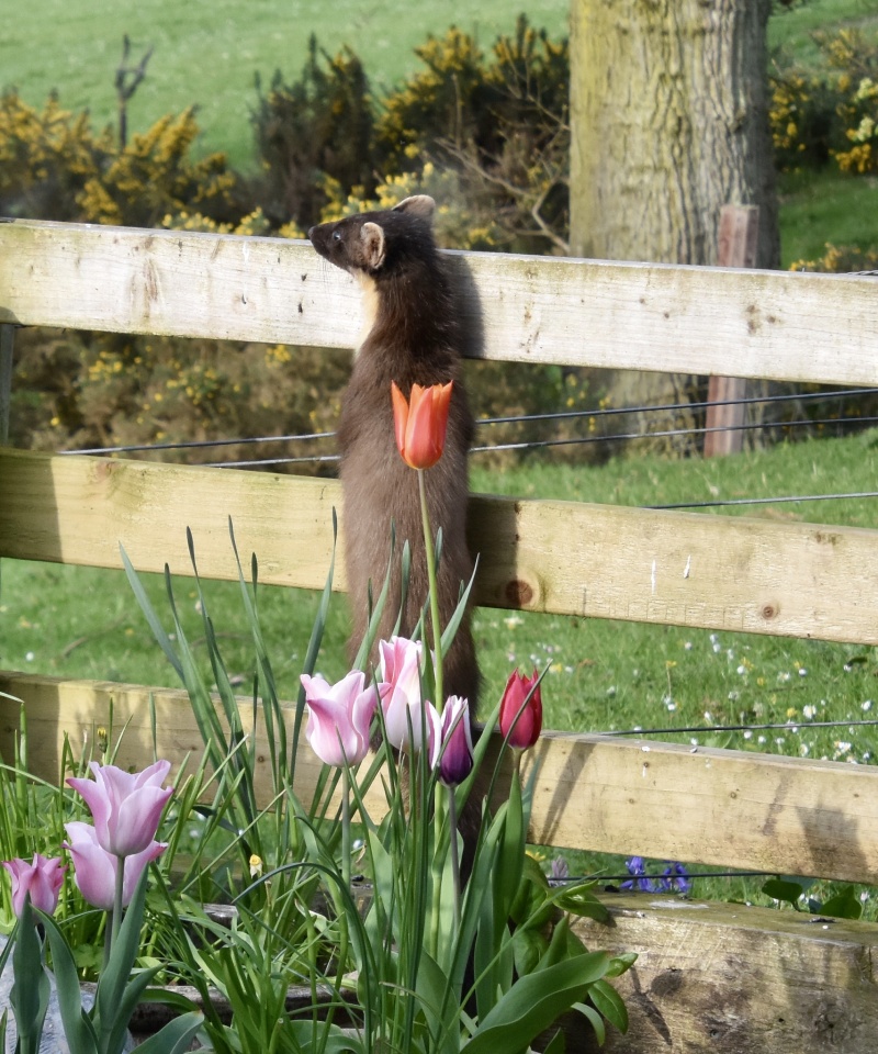 Back again | Houseonahill6 | Blipfoto