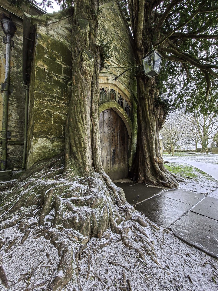 Tolkien doors with a touch of sleet | Aliscotia | Blipfoto