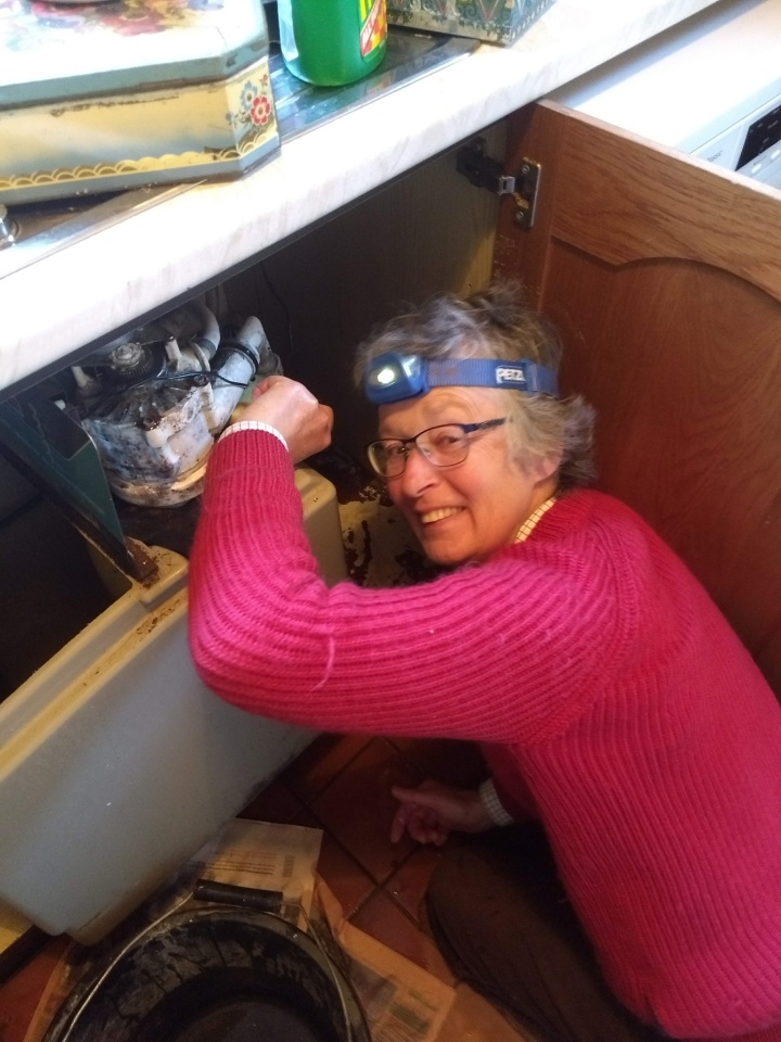 More fun. | Backwoods | Blipfoto