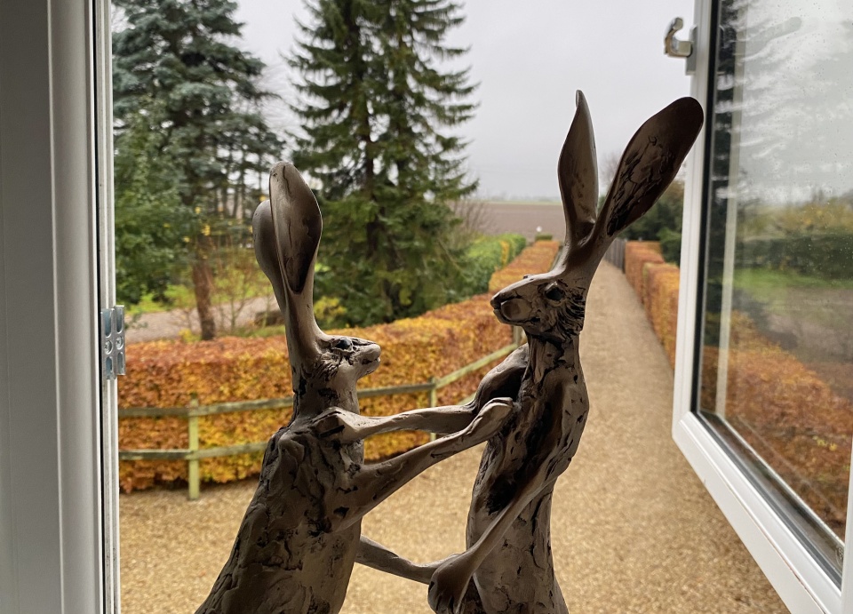 Down the driveway | Alison666 | Blipfoto