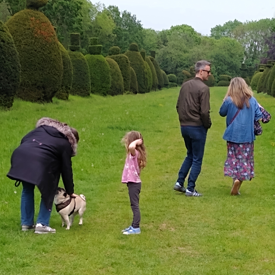 Spreading the joy | PicturePoems | Blipfoto