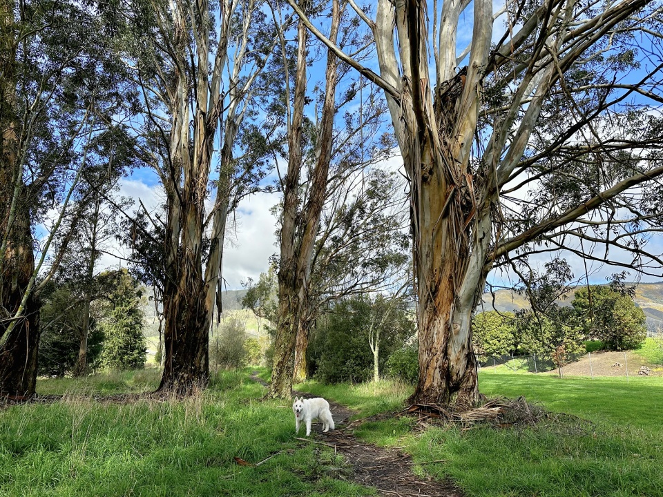 A beautiful day | AndrewNZ | Blipfoto