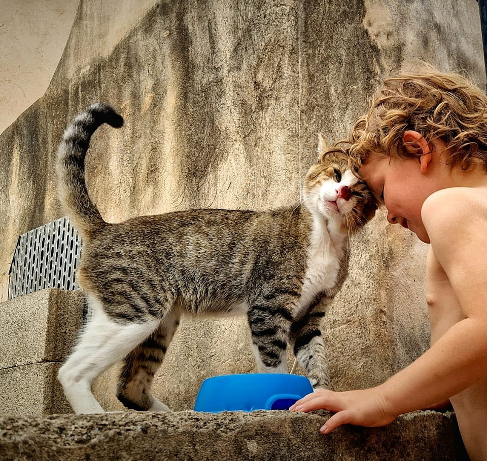 Purrfect | snapper | Blipfoto