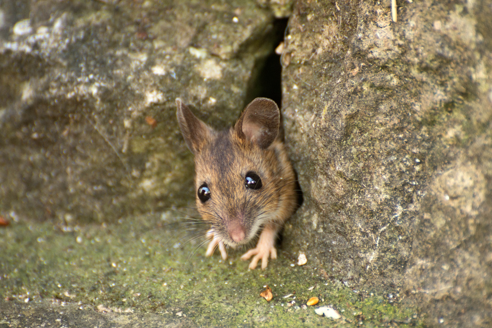 There be giants | gladders | Blipfoto