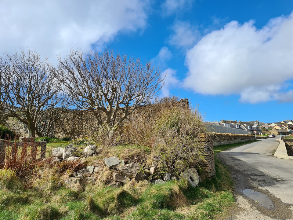 TUMBLEDOWN | EllyJay | Blipfoto