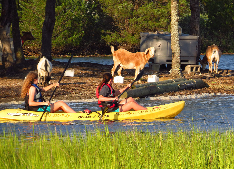Kayaking Around Goat Island | PhilattheBeach | Blipfoto
