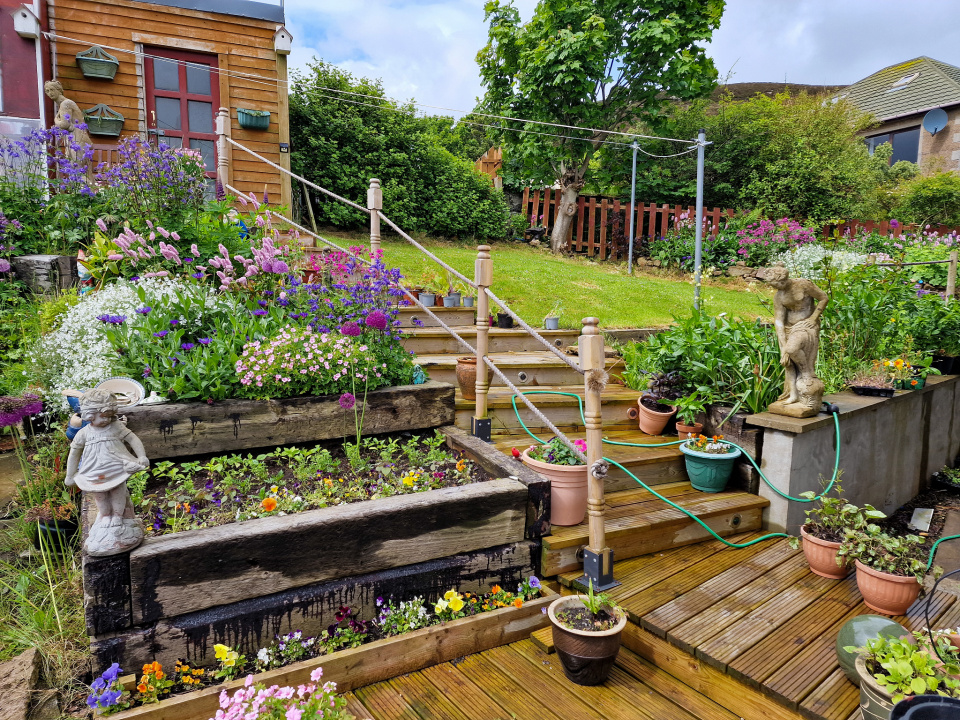 Hawthorn Garden 2024 | ZE1Christie | Blipfoto