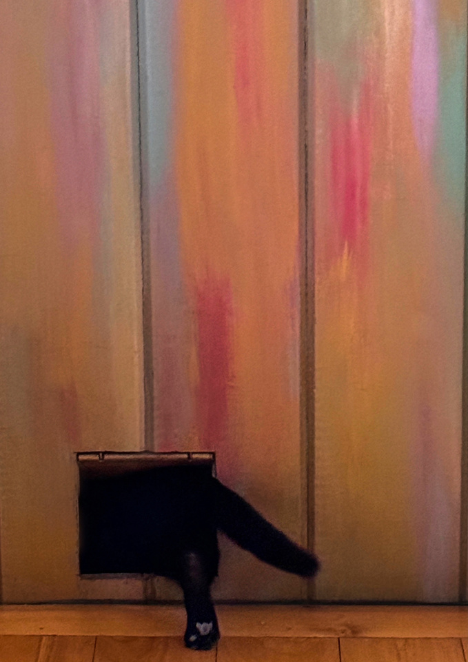 Tail and Toes to Go | justbe | Blipfoto