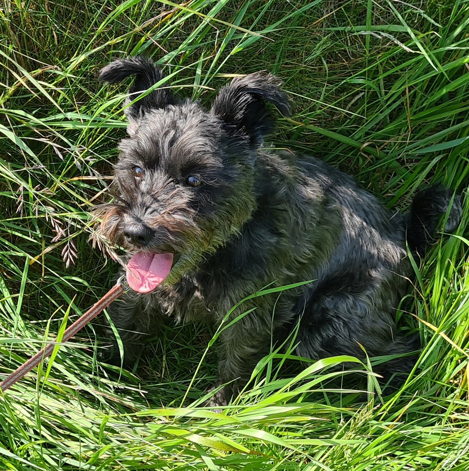 EXCURSION | EllyJay | Blipfoto