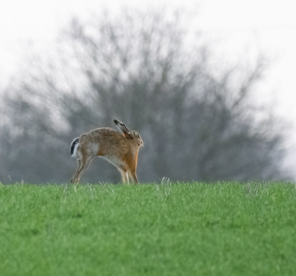 Stretching | Hillyblips | Blipfoto