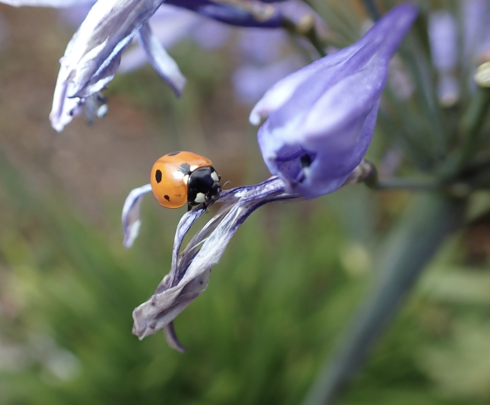 Tough | Technophobe | Blipfoto