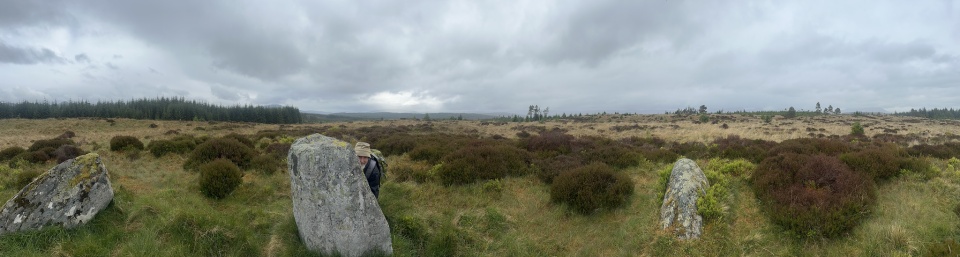 Allean Forest | RedFlash | Blipfoto