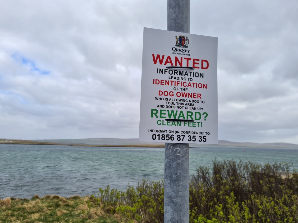 WANTED | EllyJay | Blipfoto