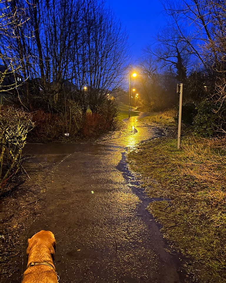 Rainy day | Pinkhairedlady | Blipfoto