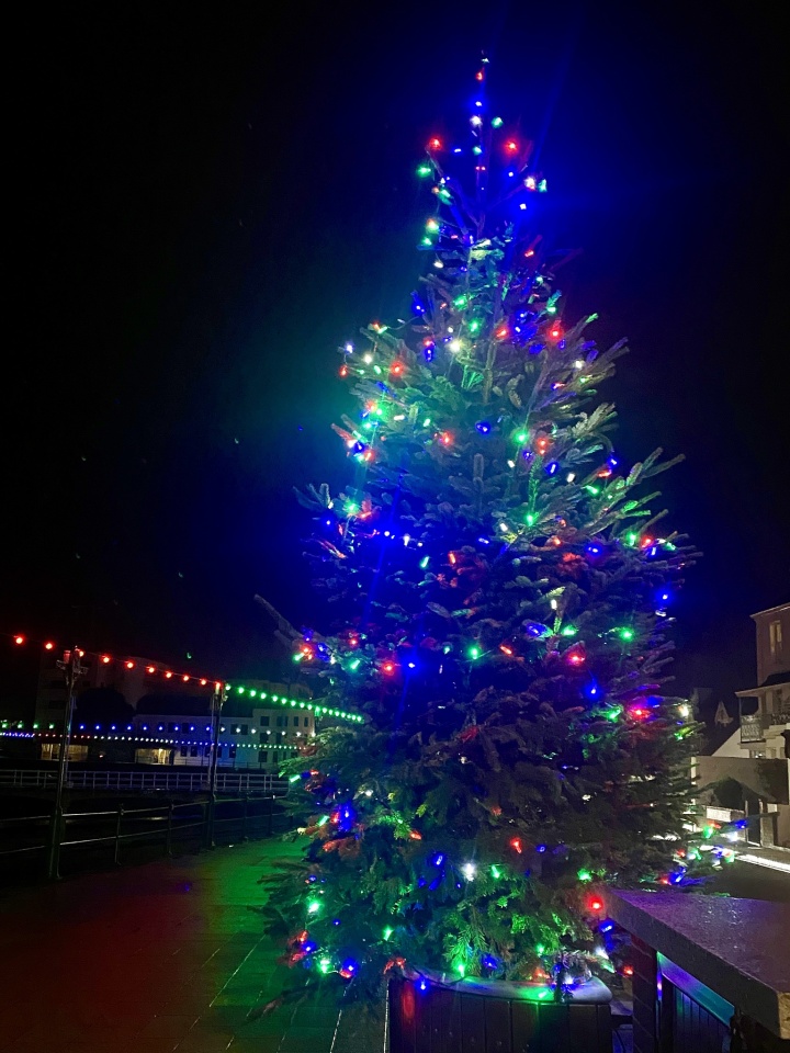 Tree light delight! | Swann6 | Blipfoto