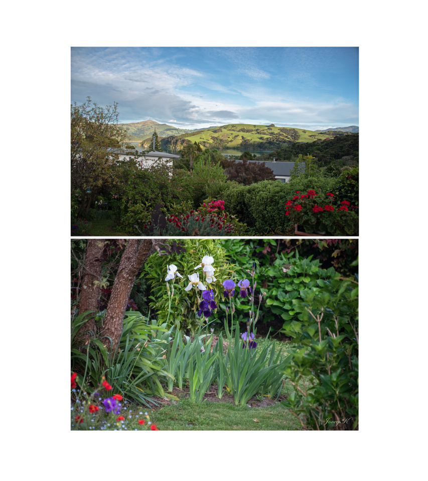 Earily Morning | JMK | Blipfoto