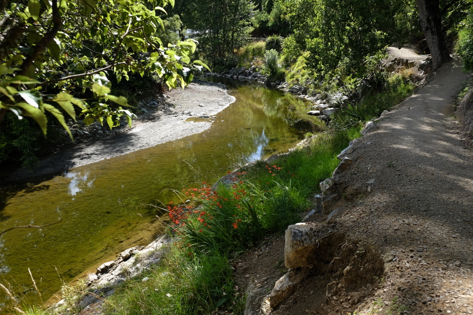 Down By The River . . . Neil Young | V1k1 | Blipfoto