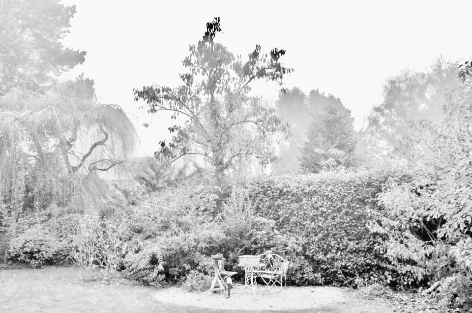 Garden in the mist | Ingeborg | Blipfoto