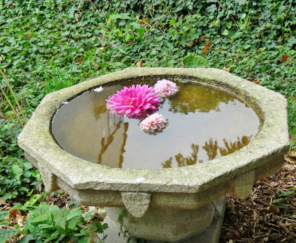 Beeleigh Abbey Gardens | ladypop | Blipfoto