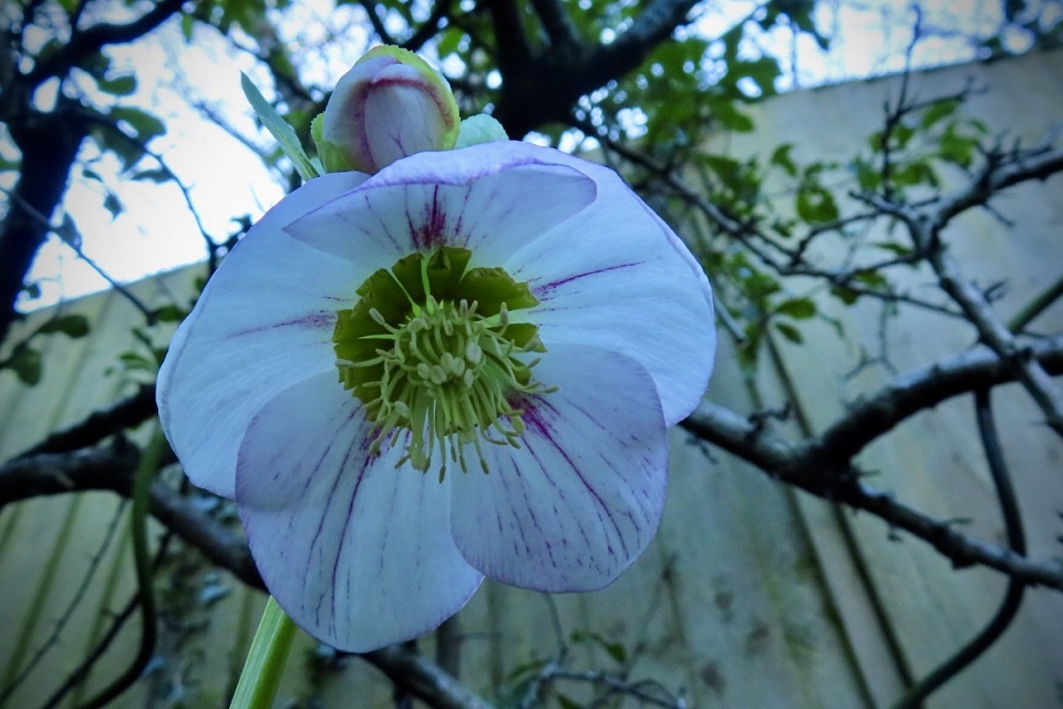 Missed grandson | Jaybay | Blipfoto