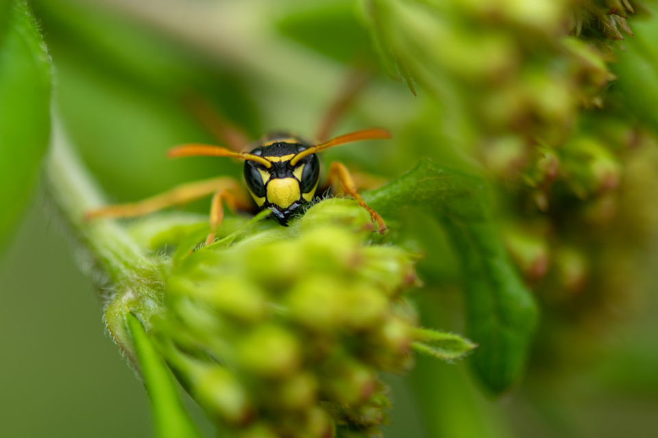Smile! | dbifulco | Blipfoto