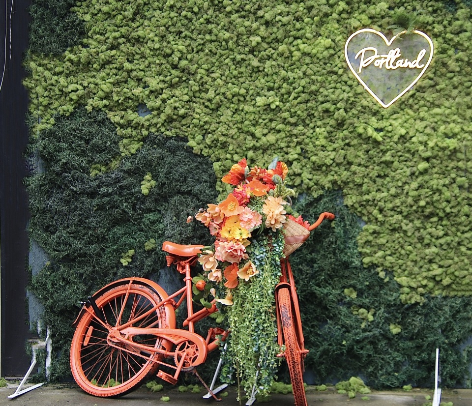 Portland Bloom | seniormoments | Blipfoto