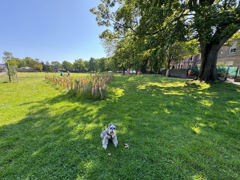 T'was a very hot day... | LadyMarchmont | Blipfoto