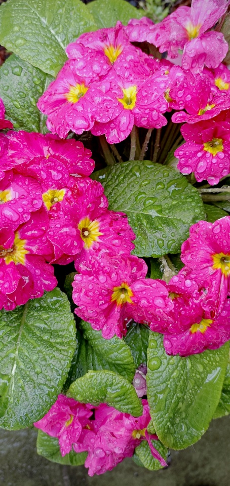 Wet and Cold | JMK | Blipfoto