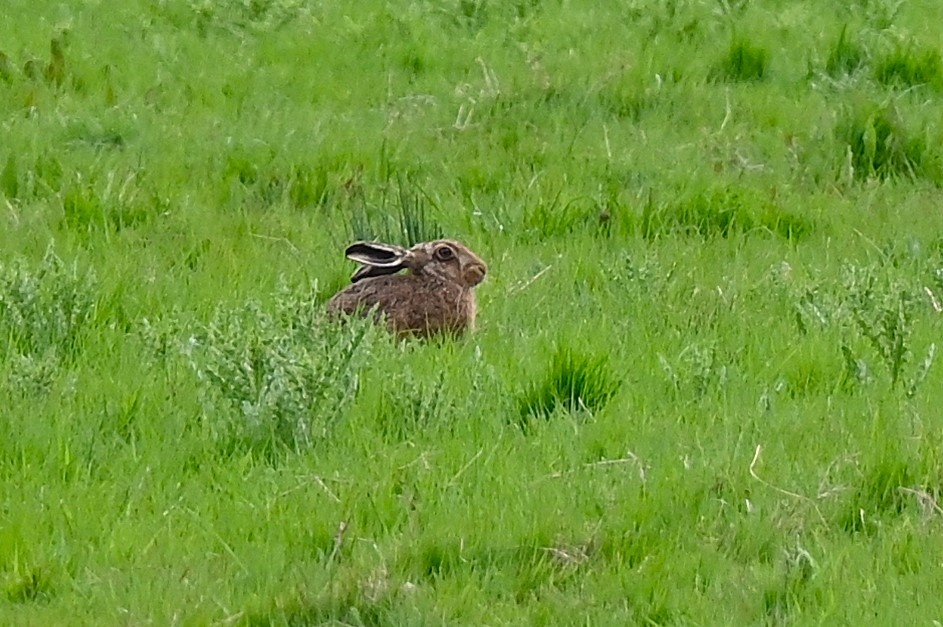 An evening walk and we... | IAE | Blipfoto