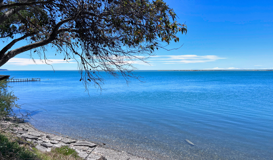 A Invitation... | Miffy | Blipfoto