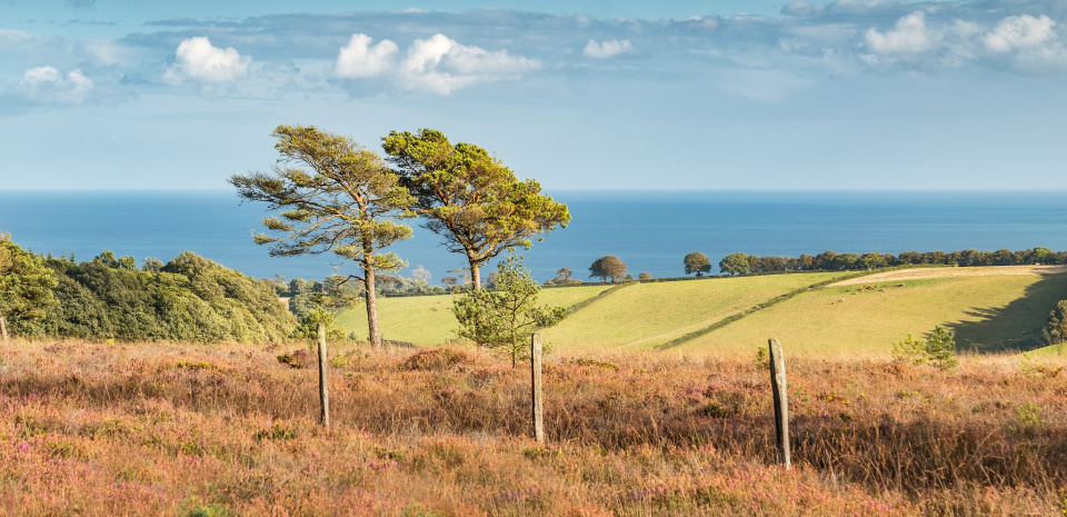 Over Smallacombe Farm | RockArea | Blipfoto