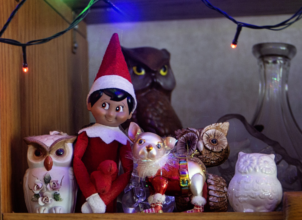Elf Has Returned | bugsman | Blipfoto