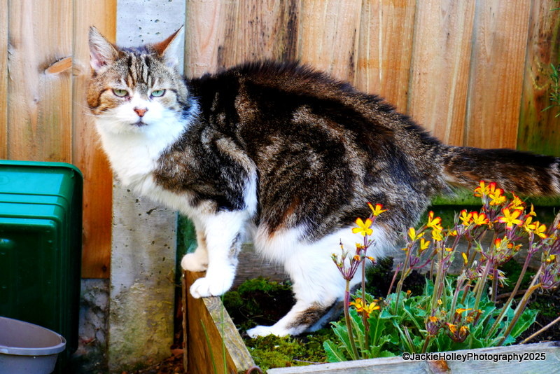 You called? | ThingsBeautiful | Blipfoto